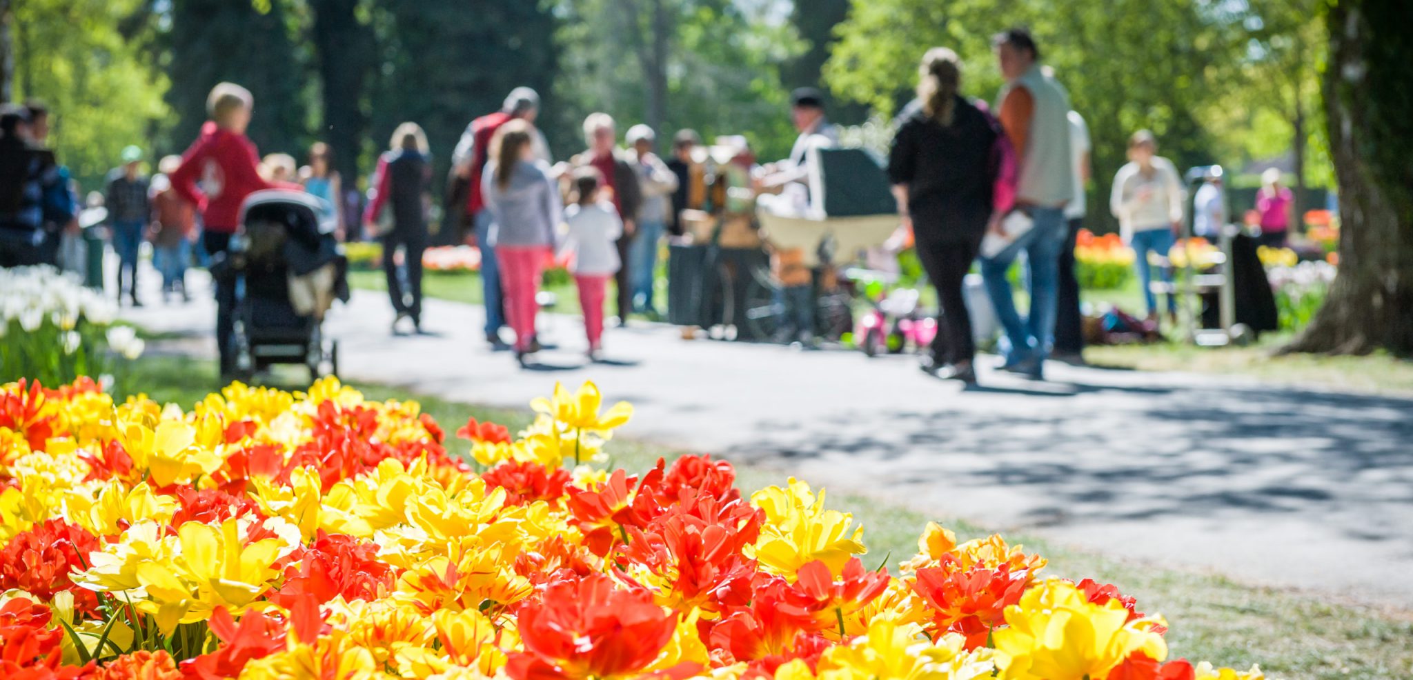 Fête de la Tulipe de Morges - Arcam